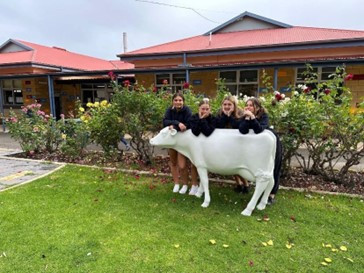 Milky Way the Picasso Cow Project - Kadina Memorial School
